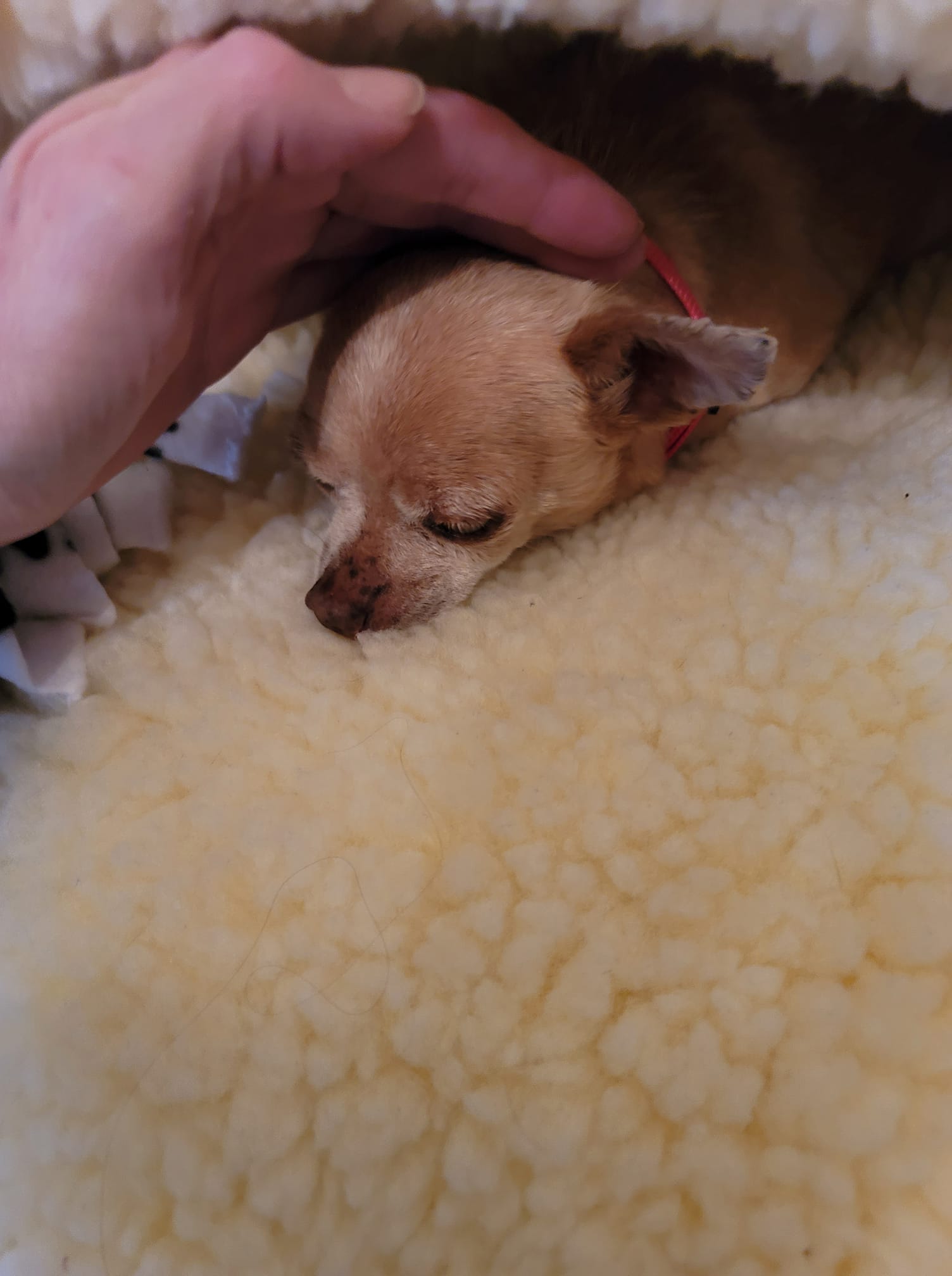 Medical and Maternity Hold