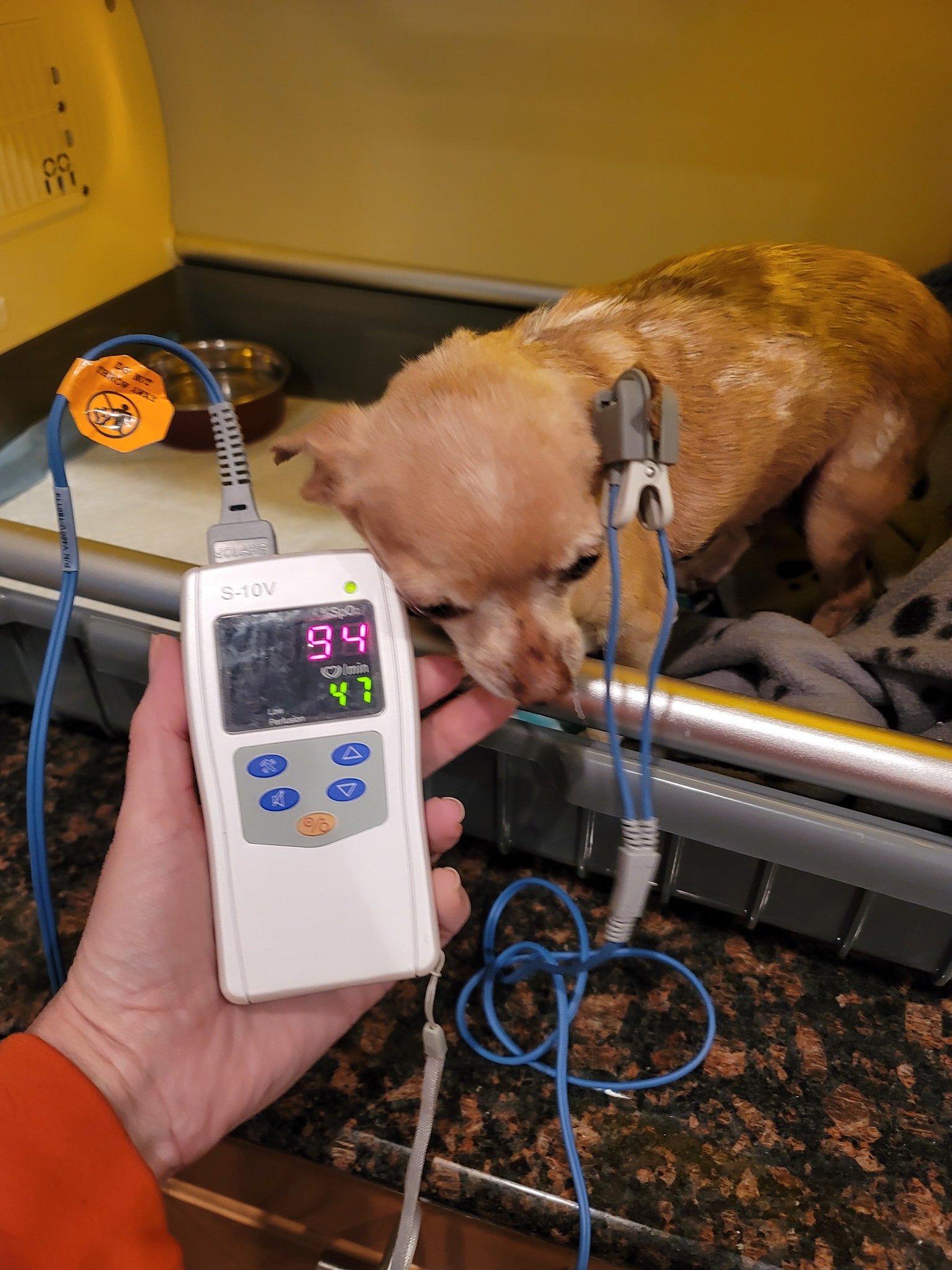 Medical and Maternity Hold