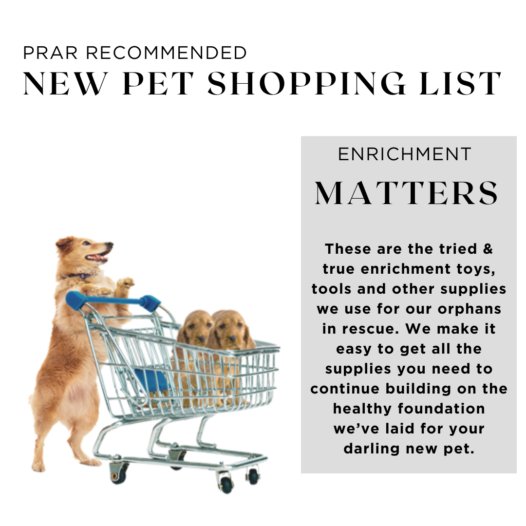 New Pet Recommended Shopping List - Pawsitive Restorations Animal Rescue